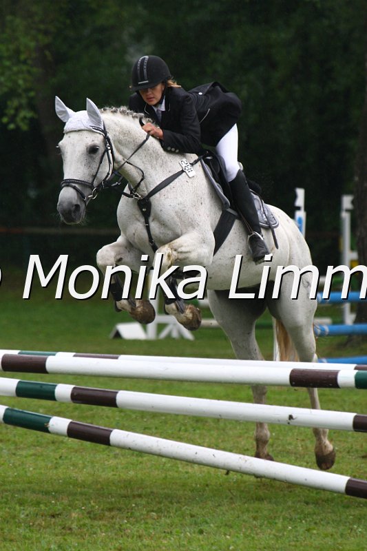 zurück/Galerie/Tierfotos/Turnier Marktredwitz 24.-25.Juli 2010/Alle ...